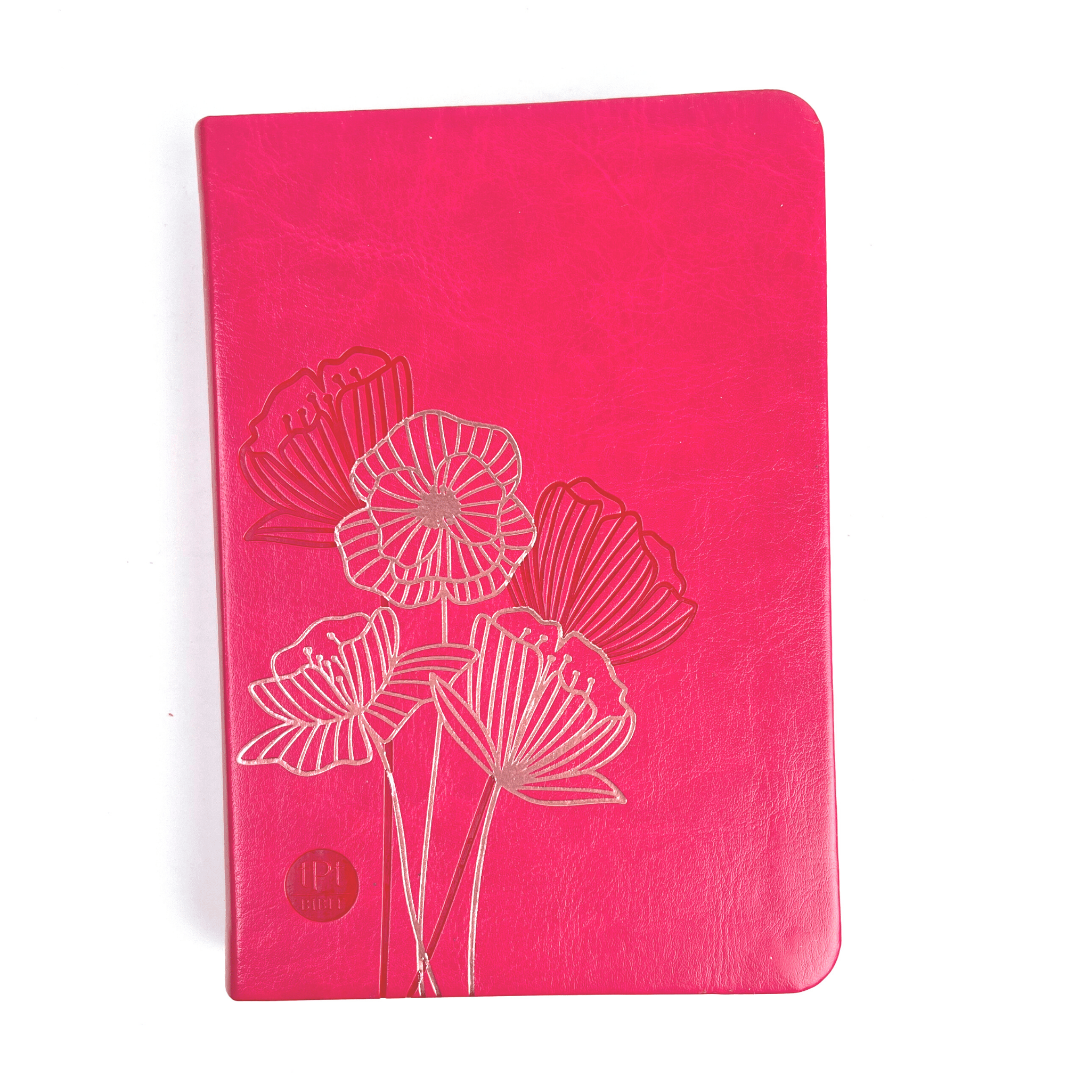 The Passion Translation Bible (2020 Edition) Compact Size – In The Beloved